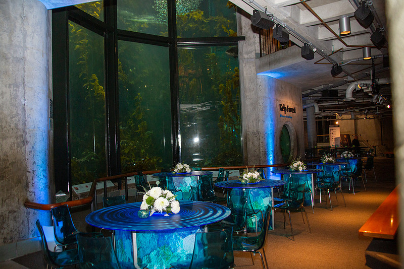 Justin Ta | Graniterock125