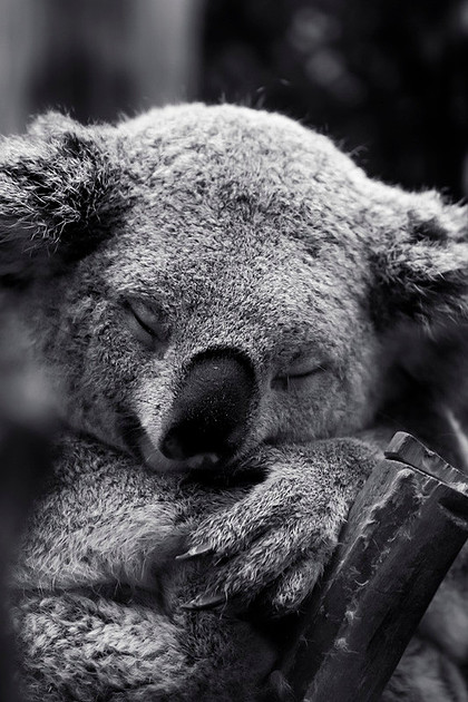 Justin Ta | Galleries